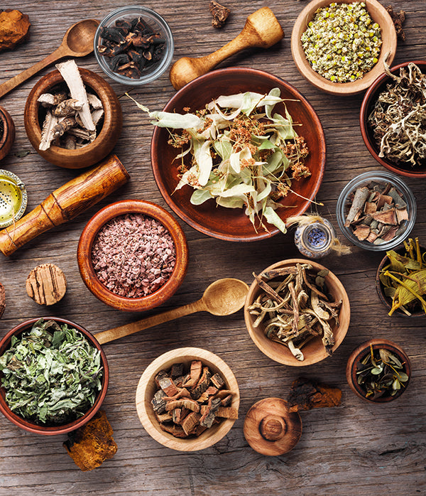 Lemon Lily Tea Wholesale
